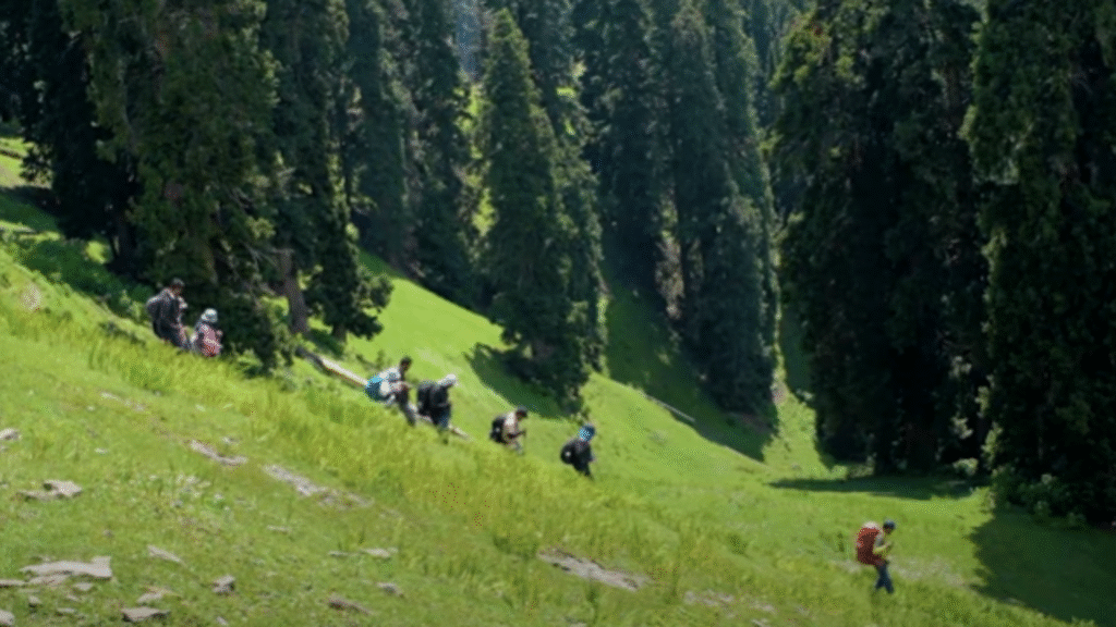 Nafran Valley Trek - Pahalgam Walks and Treks
